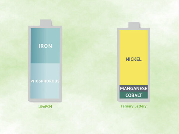 LiFePO4 Battery vs Ternary Lithium Battery: What You Should Know – Polinovel